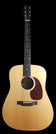 Eastman E1D Inc 100 Professional Setup - R Guitars